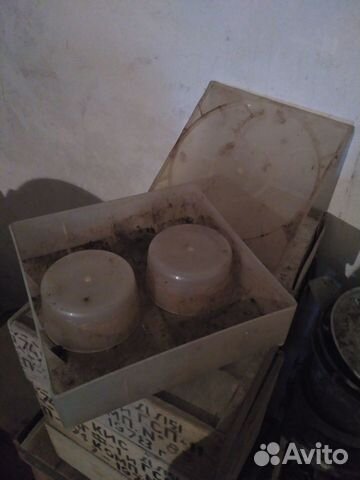 Кормушка для пчел