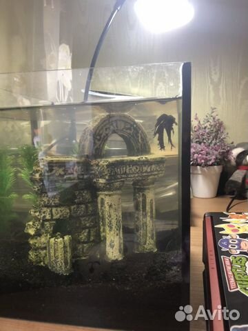 Аквариум с рыбками и всем прилежащим