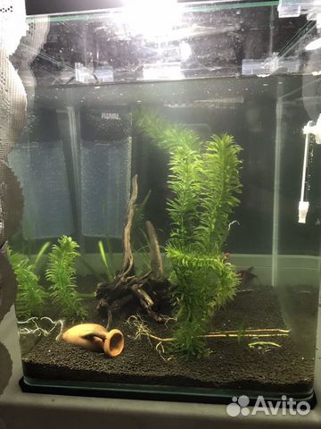 Аквариум с рыбками