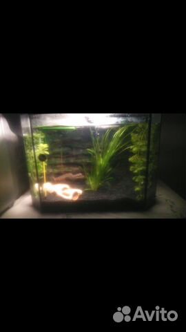 Аквариум 20 л