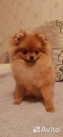 Миниатюрная