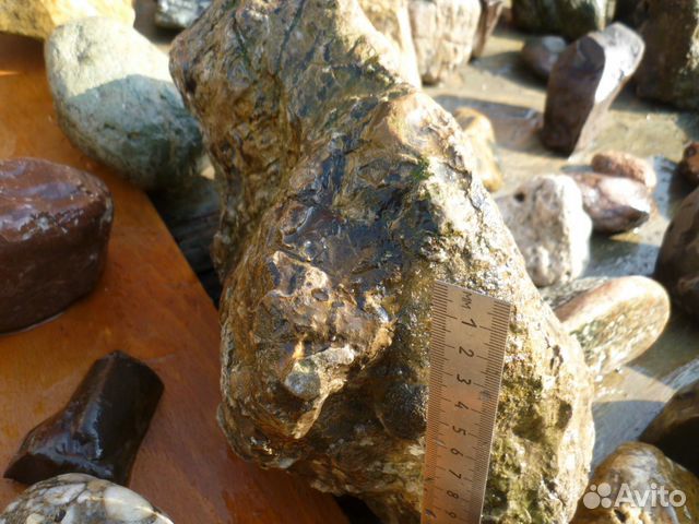 Речной камень, грунт, валуны, мшатник, коряги. Бол