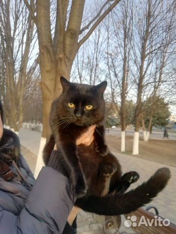 Брутальный крупный ласковый красавчик