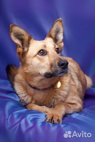 Красотка Марго