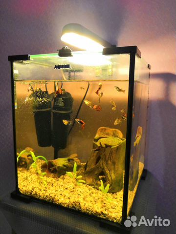 Аквариум
