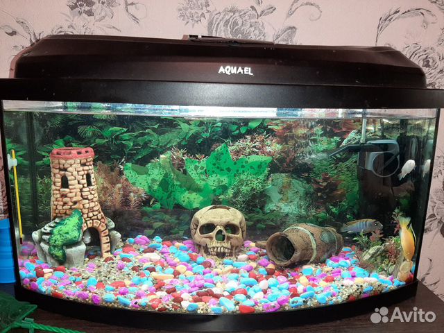 Аквариум с рыбками