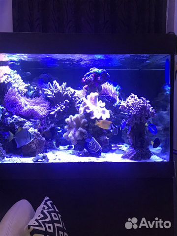 Продам морской аквариум