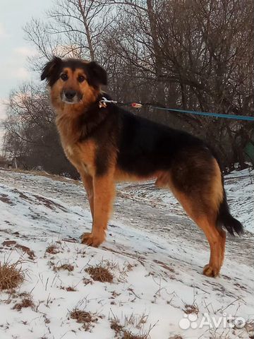 Красавчик Джони