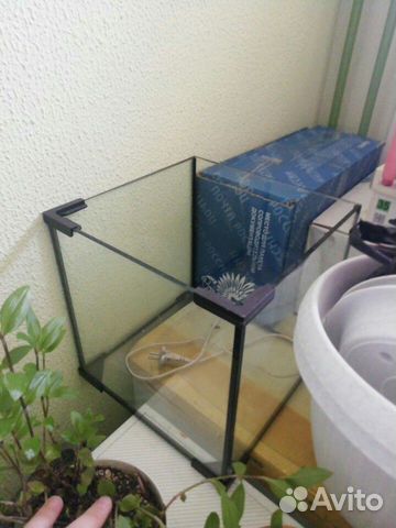 Аквариум акваэль 20 литров. без сколов и царапин