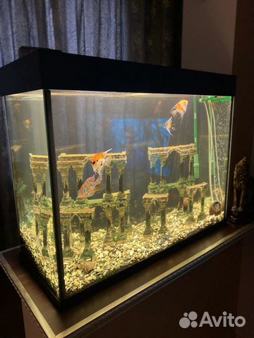 Аквариум с оборудованием