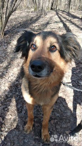 Красавчик Джони