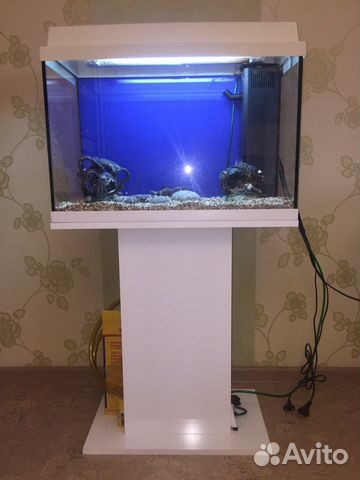Аквариум