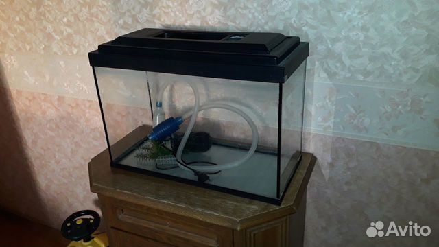 Аквариум