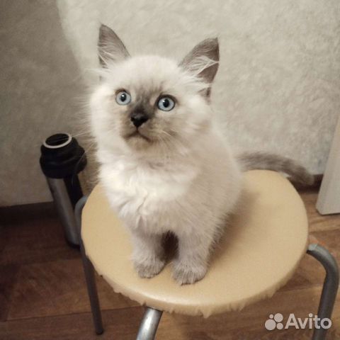 Тайская