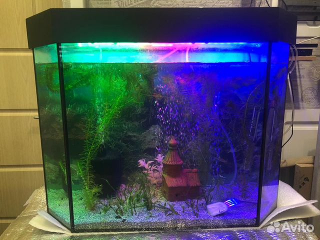 Аквариум 100 литров
