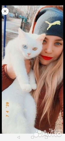 Шотландские- невский маскарадные