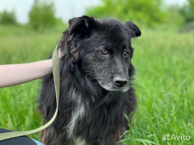 Найт очень хочет домой