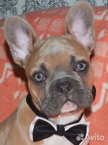 Эти глаза напротив