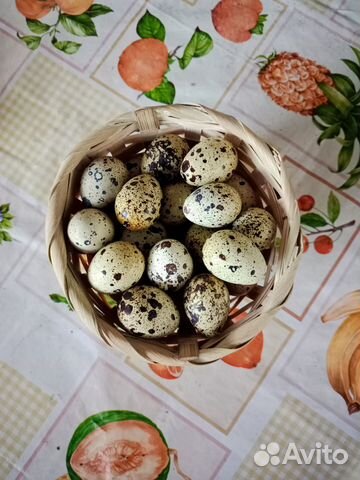 Яйцо перепелинное