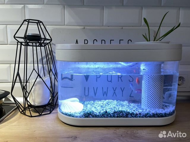 Акваферма Xiaomi с 4 рыбками и кормом