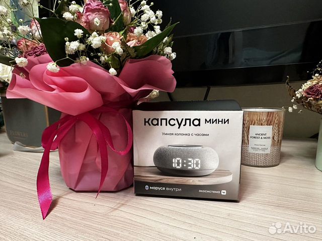 Капсула мини Маруся купить в Москве | Электроника | Авито