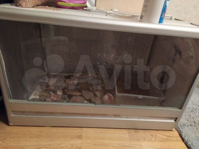 Террариум с морской черепахой