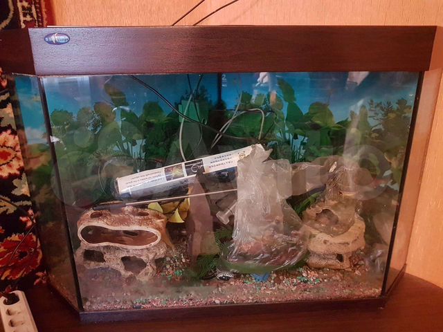 Аквариум 195 литров