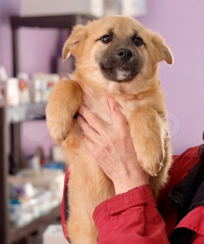 Малышка Буба в добрые руки