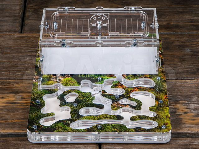 Муравьиная ферма