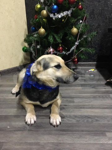 Девочка Варечка