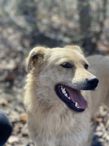 Малышка небольшого размера